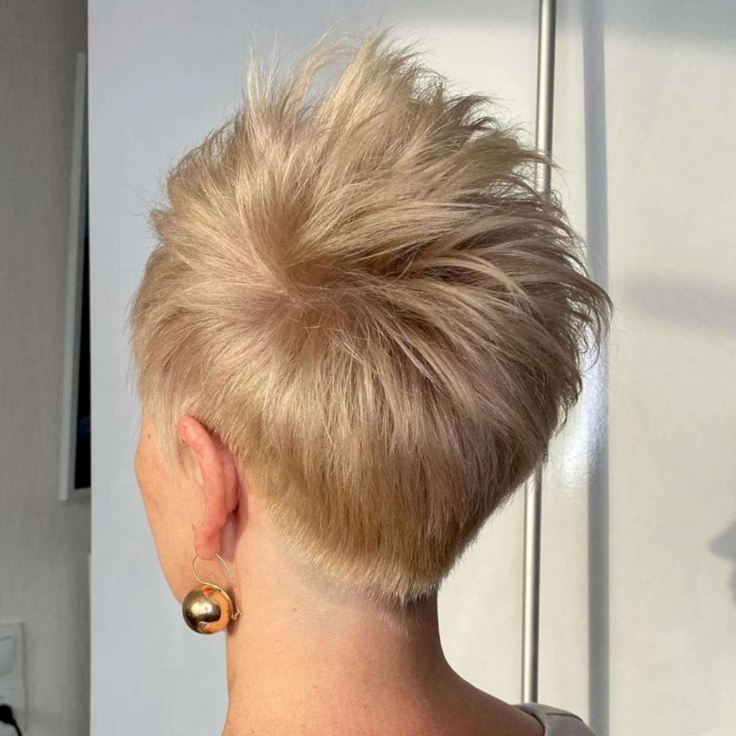 Alexandra Collins Short Hairstyles - Likeeed